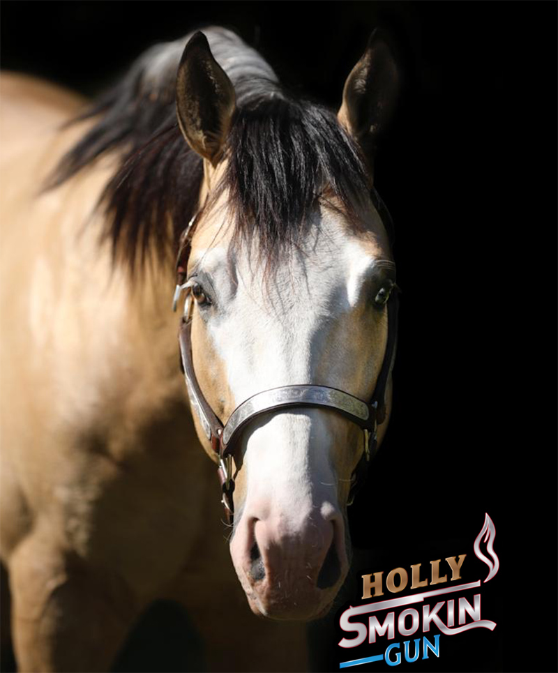 Holly Smokin Gun Bioteq